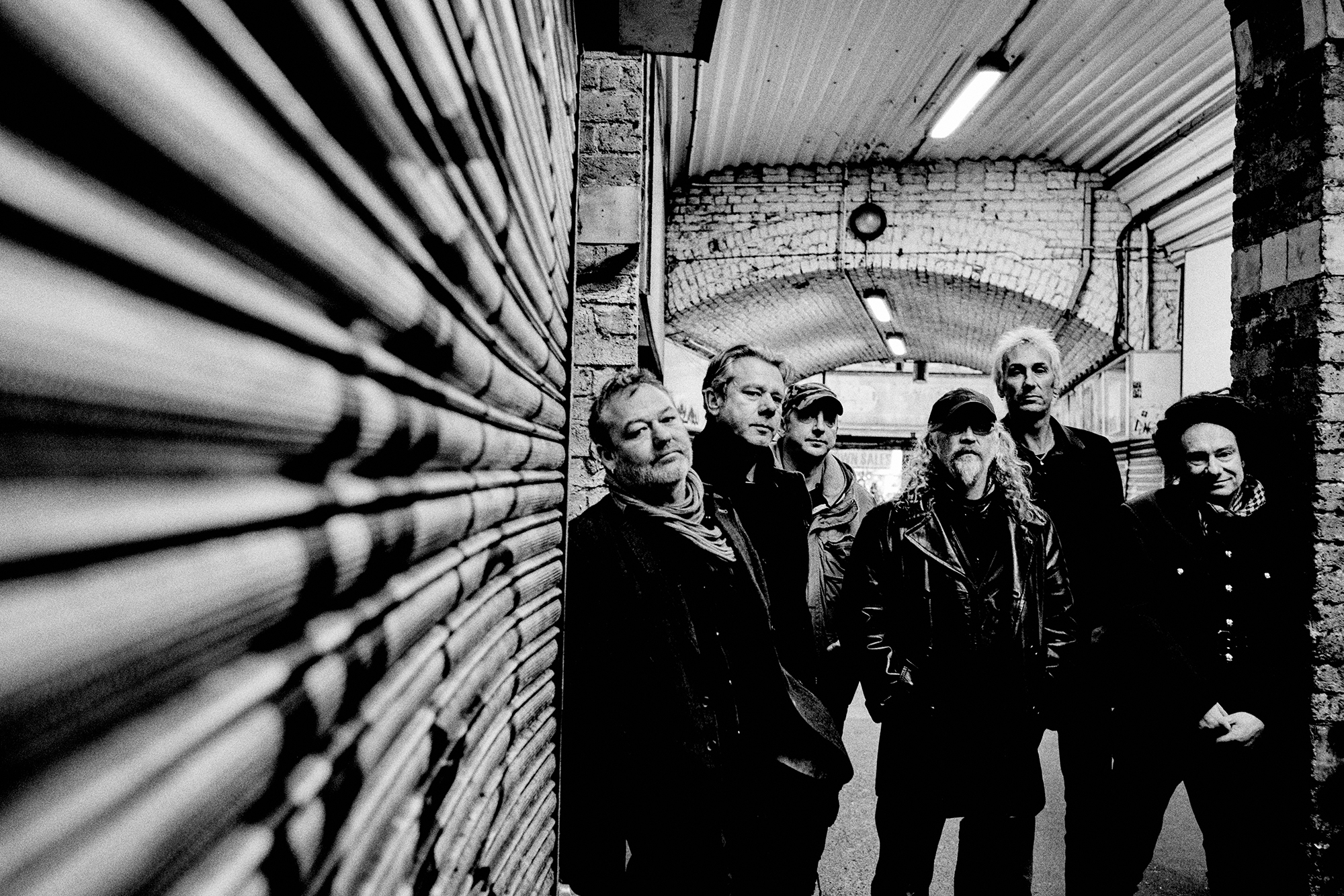 The Levellers kommen im Oktober für drei Konzerte nach Deutschland ...